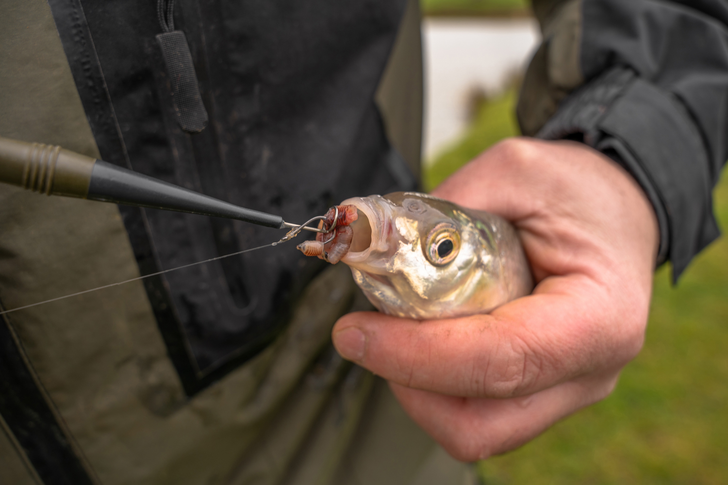 Disgorgers - Specialist | Fish For Everything