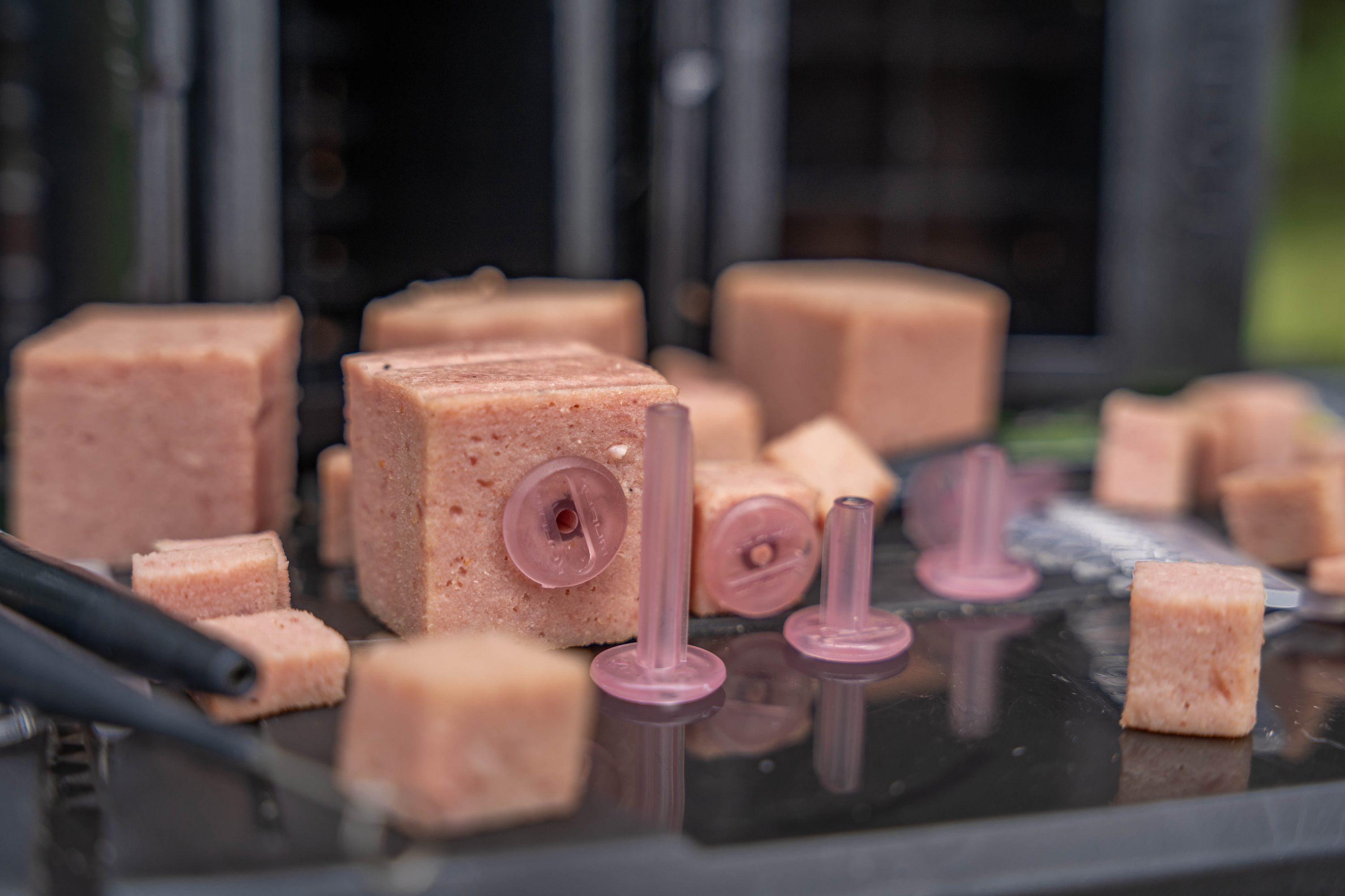 Meat Quickstoppa Kit | Fish For Everything