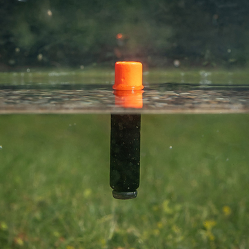 Loaded Blobs | Fish For Everything