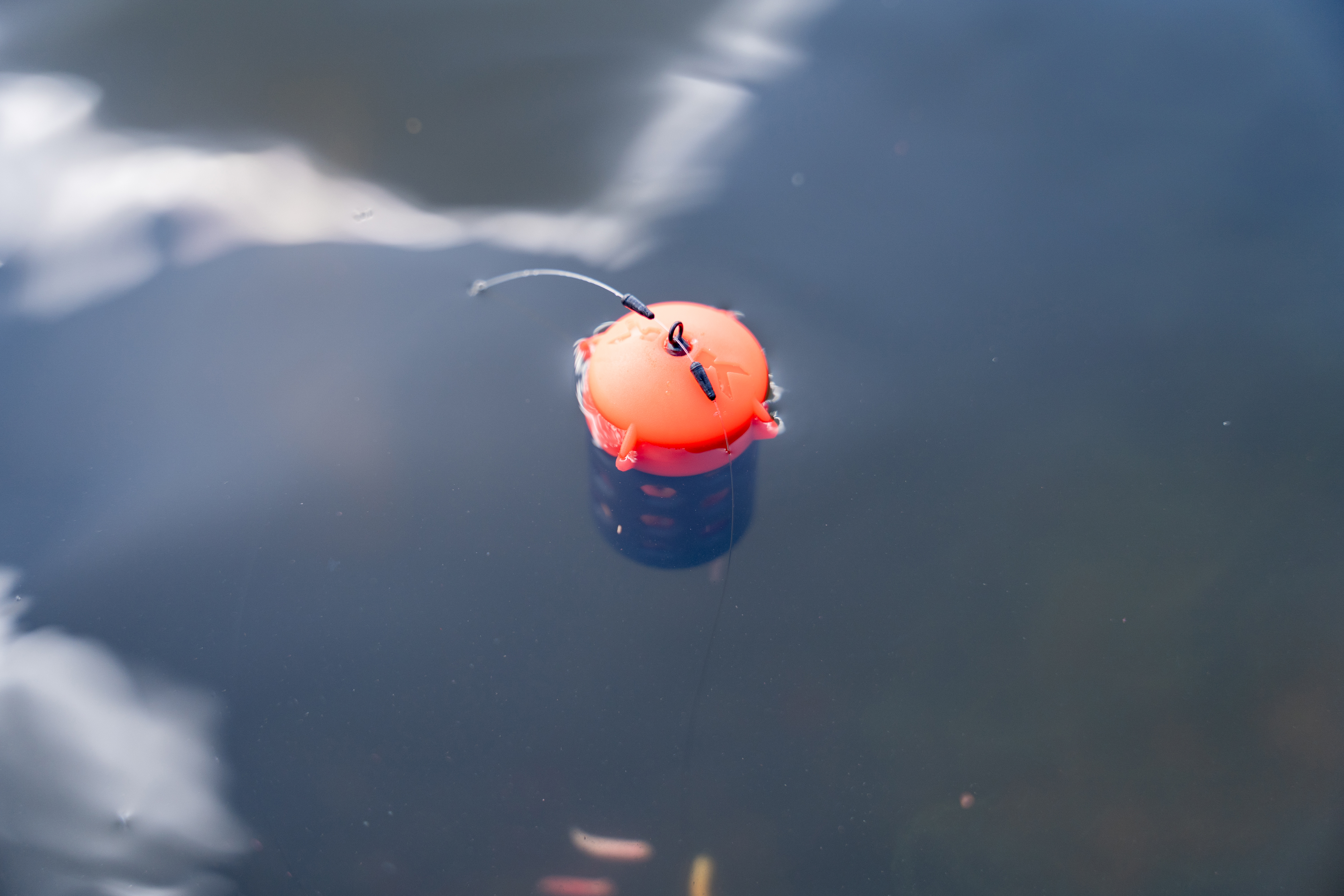 Floating Feeder | Fish For Everything
