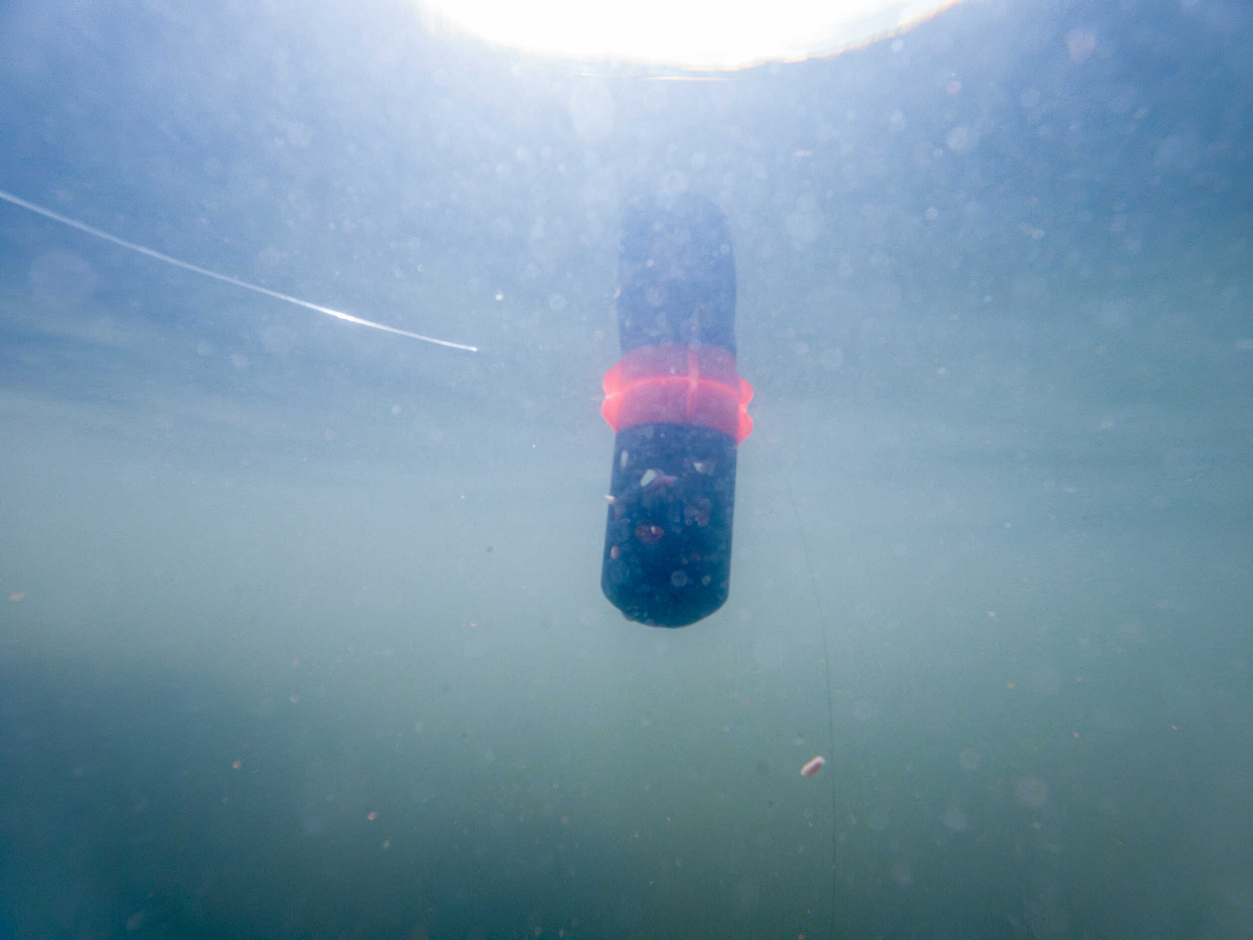 Floating Feeder | Fish For Everything