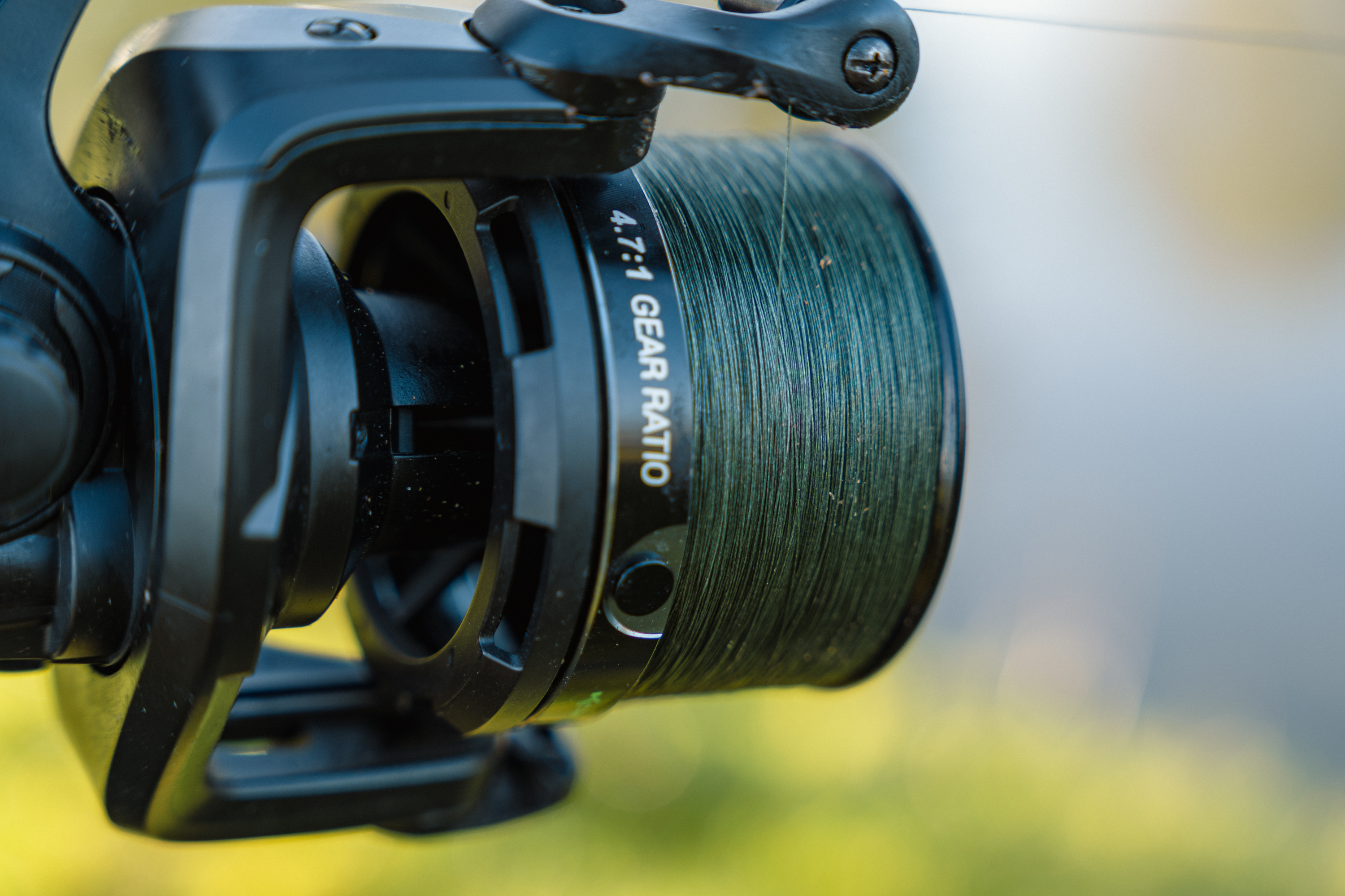 Limitless Sinking Feeder Braid | Fish For Everything